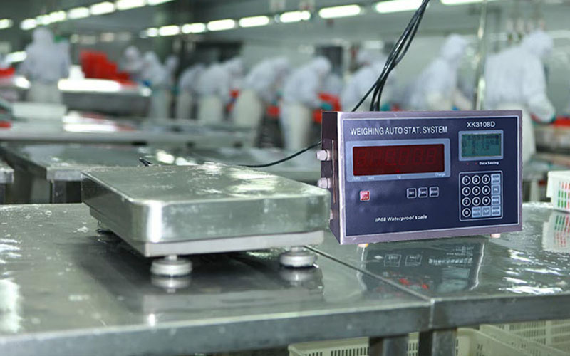 Platform Weighing Scale, Waterproof Weighing Scale - Atrontec